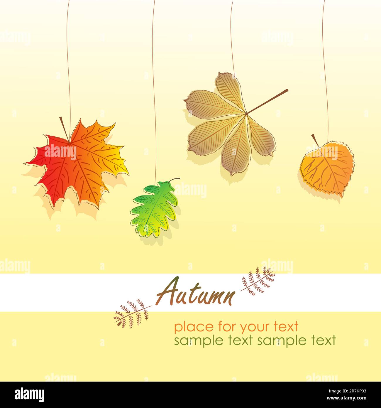 Leaves of Autumn. Vector illustration Stock Vector Image & Art - Alamy