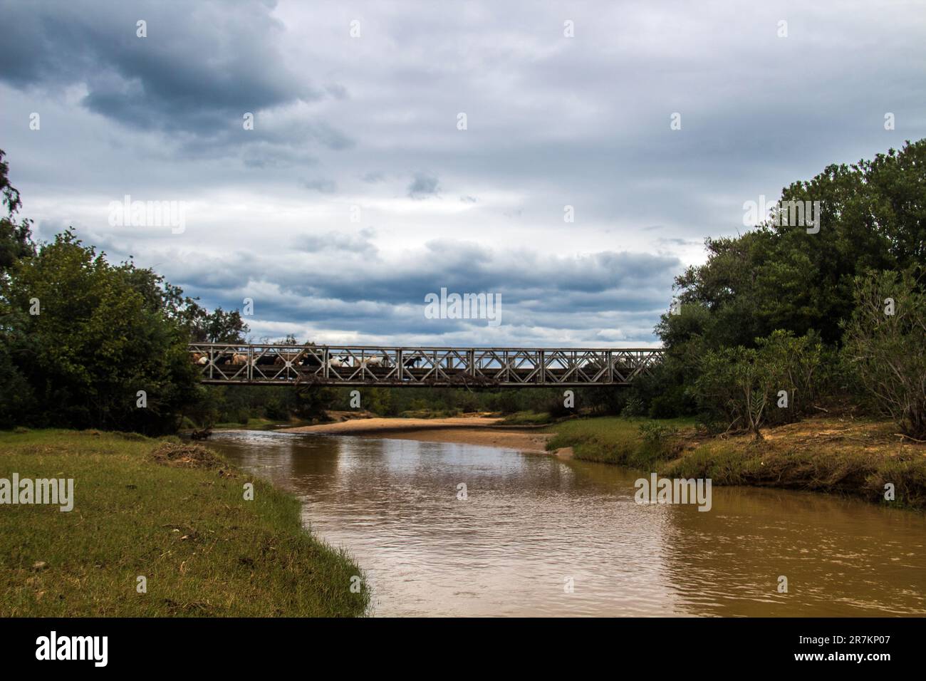 Polluted River in the Mountain at Cap Serrat, Bizerte, Tunisia Stock ...