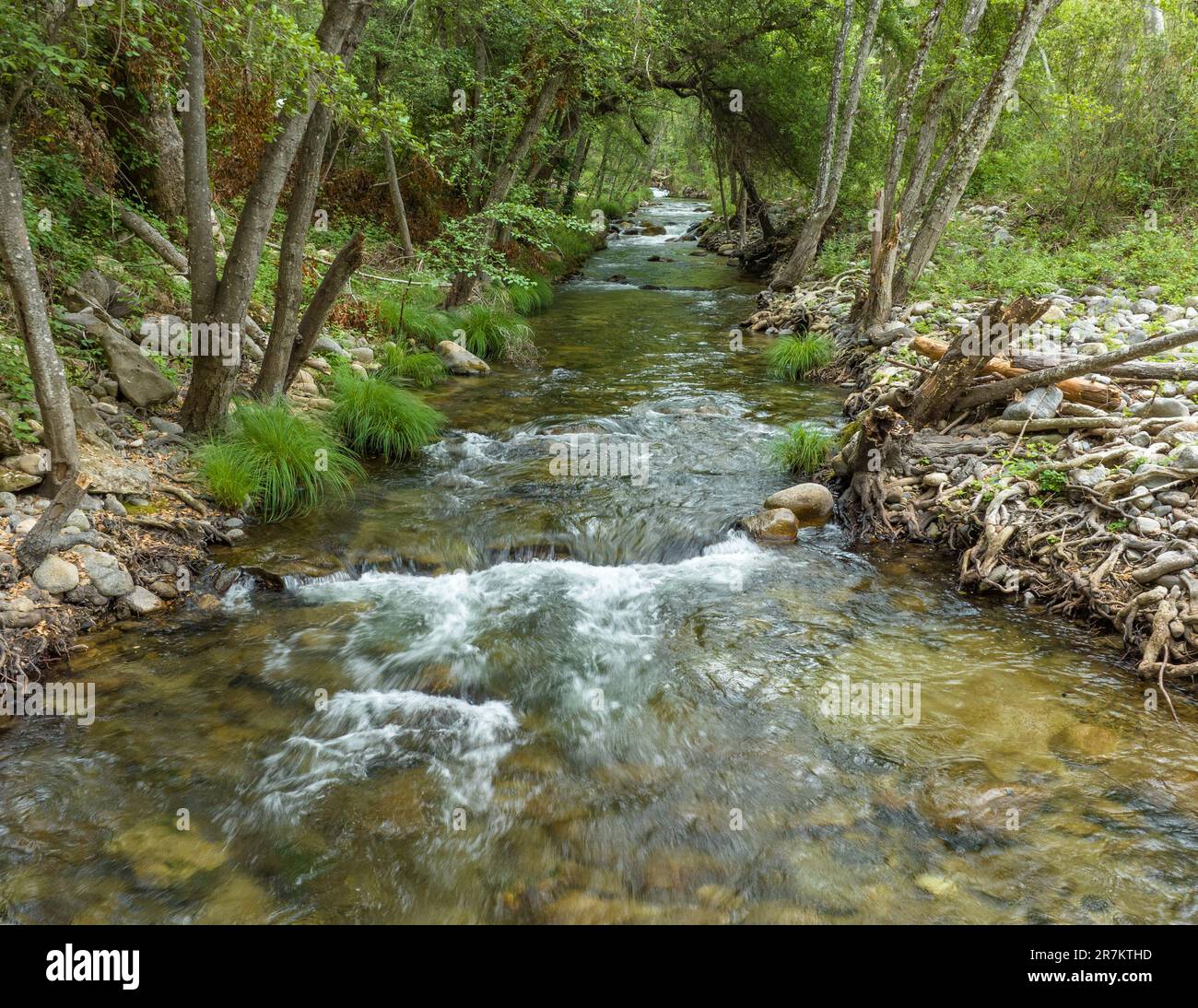 Carmel river flowing through the community of Cachagua, near Carmel ...
