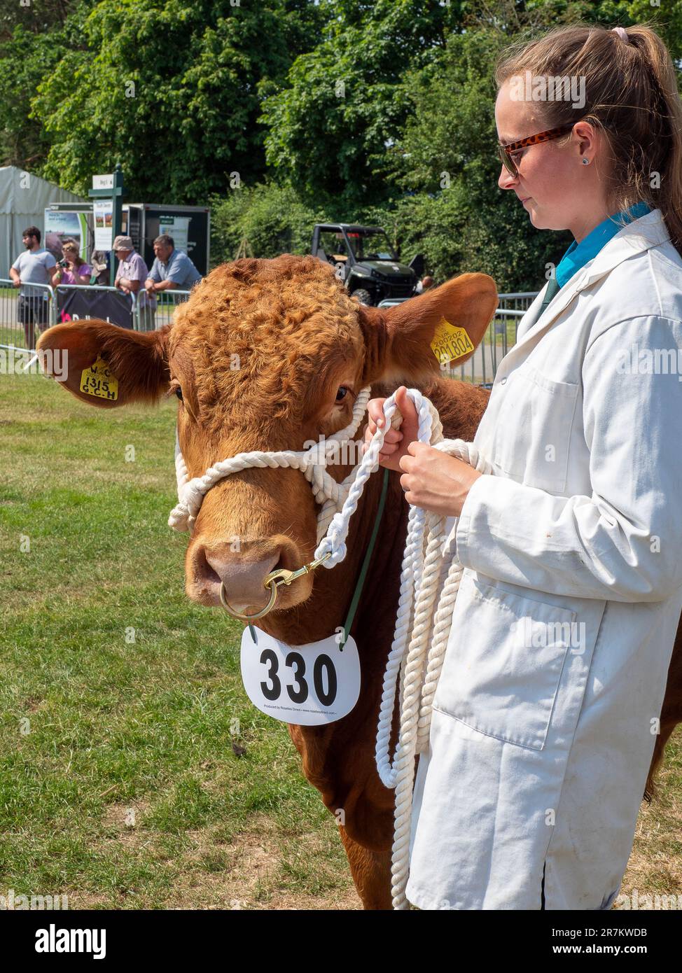 Bulvine hi-res stock photography and images - Alamy