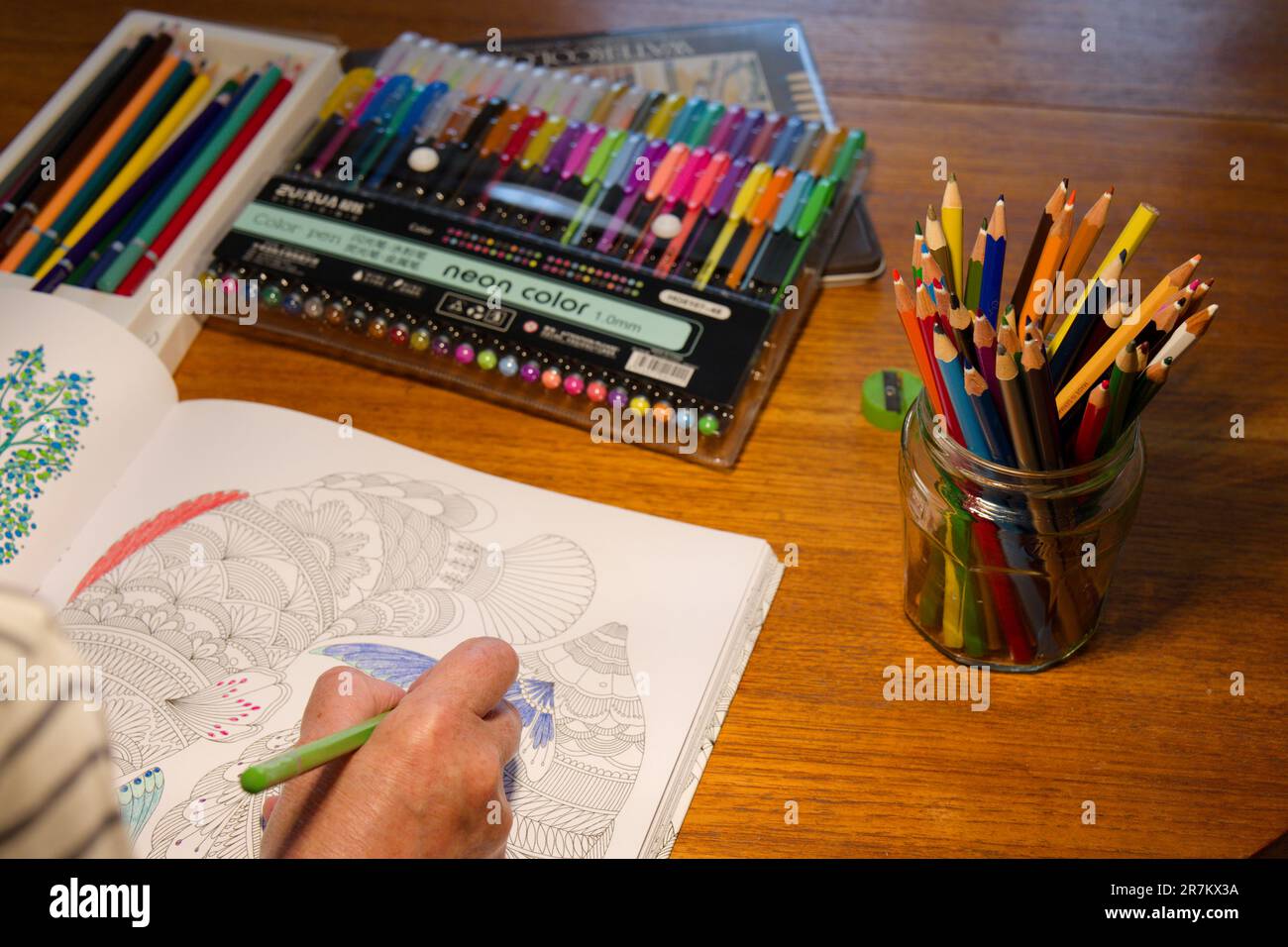 Adult Crafting - Colouring with pencils and felt tip pens Stock Photo ...