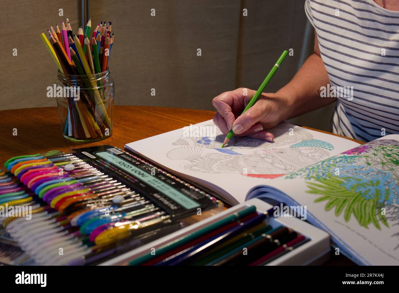 Adult Crafting - Colouring with pencils and felt tip pens Stock Photo ...