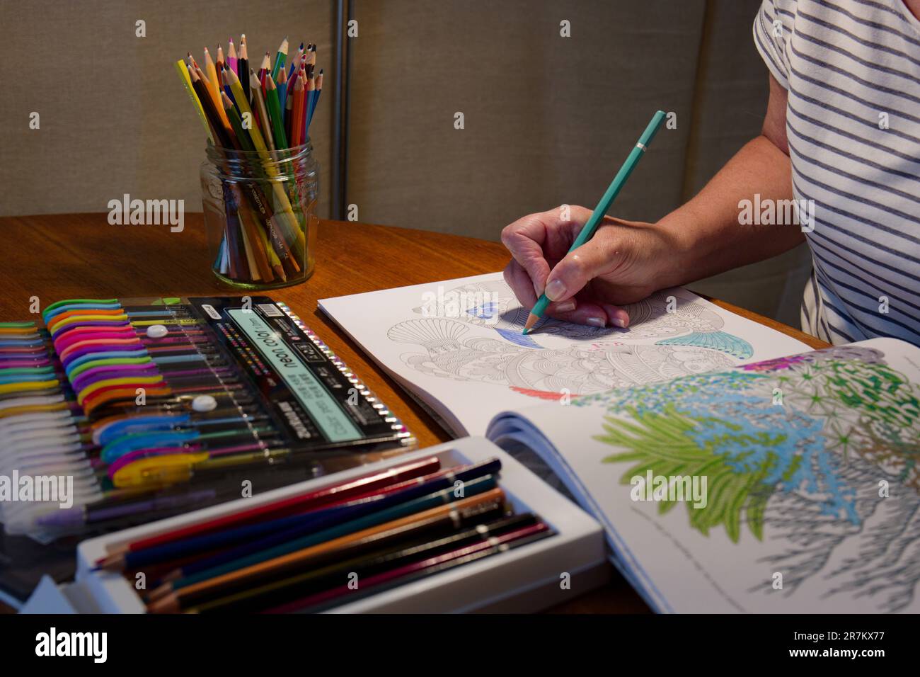 Adult Crafting - Colouring with pencils and felt tip pens Stock Photo ...