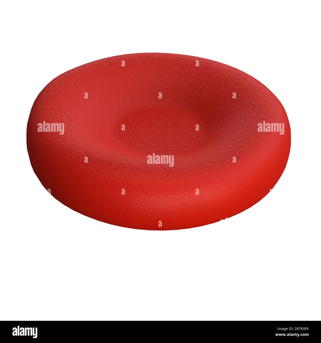 3d erythrocyte or red blood cell medicine isolated on white background ...