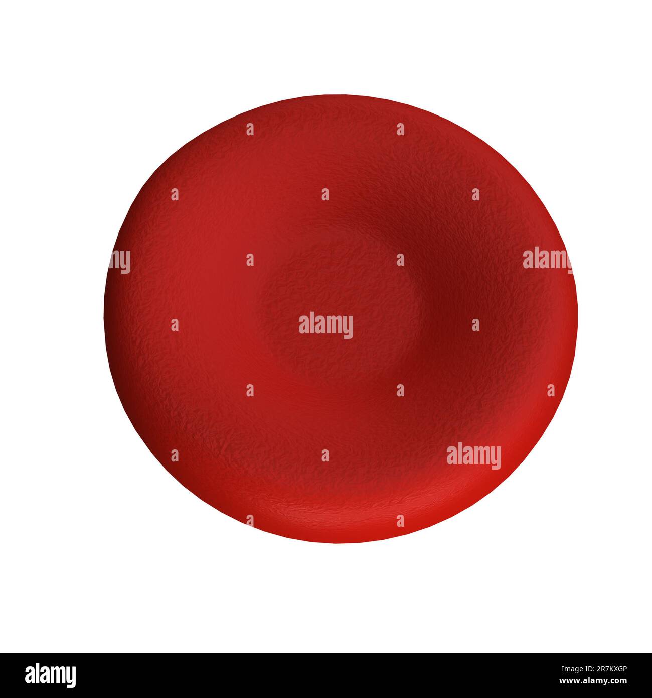 3d erythrocyte or red blood cell isolated on white background with ...