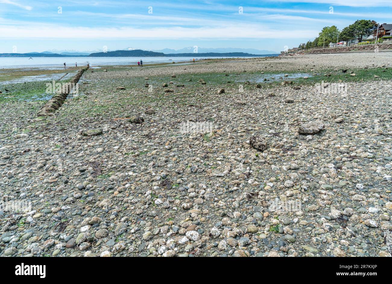 A view of the West Seattle shoreline with an extream low tide Stock ...