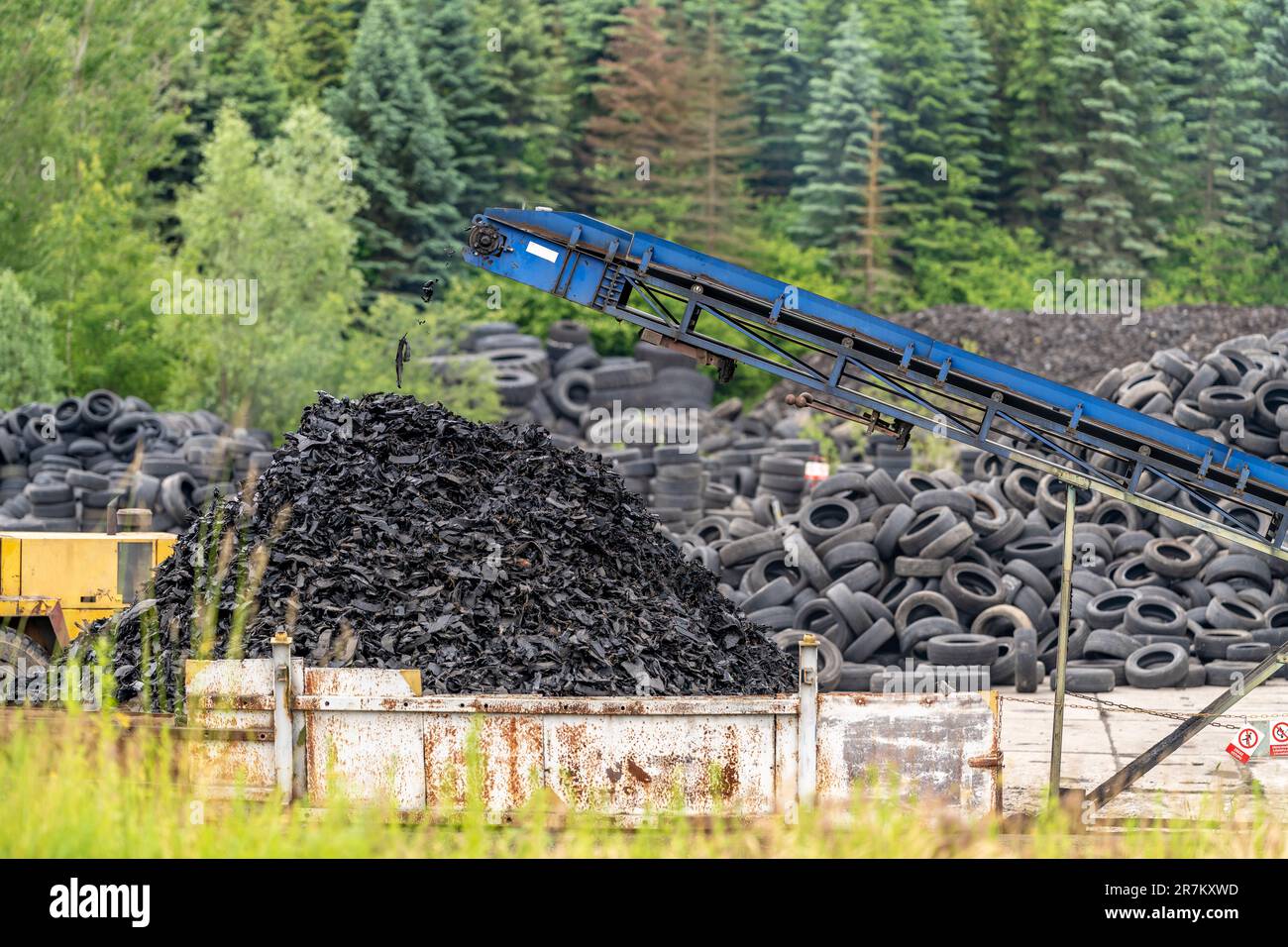 recycling and processing of old tires, crushed rubber go on a conveyor ...