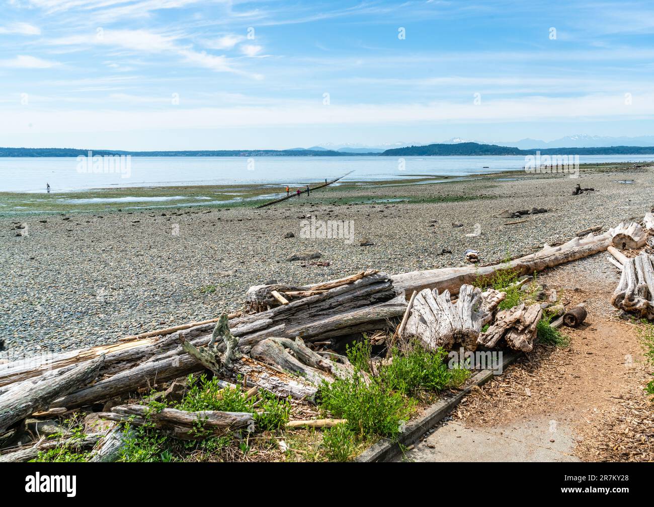 A view of the West Seattle shoreline with an extream low tide Stock ...