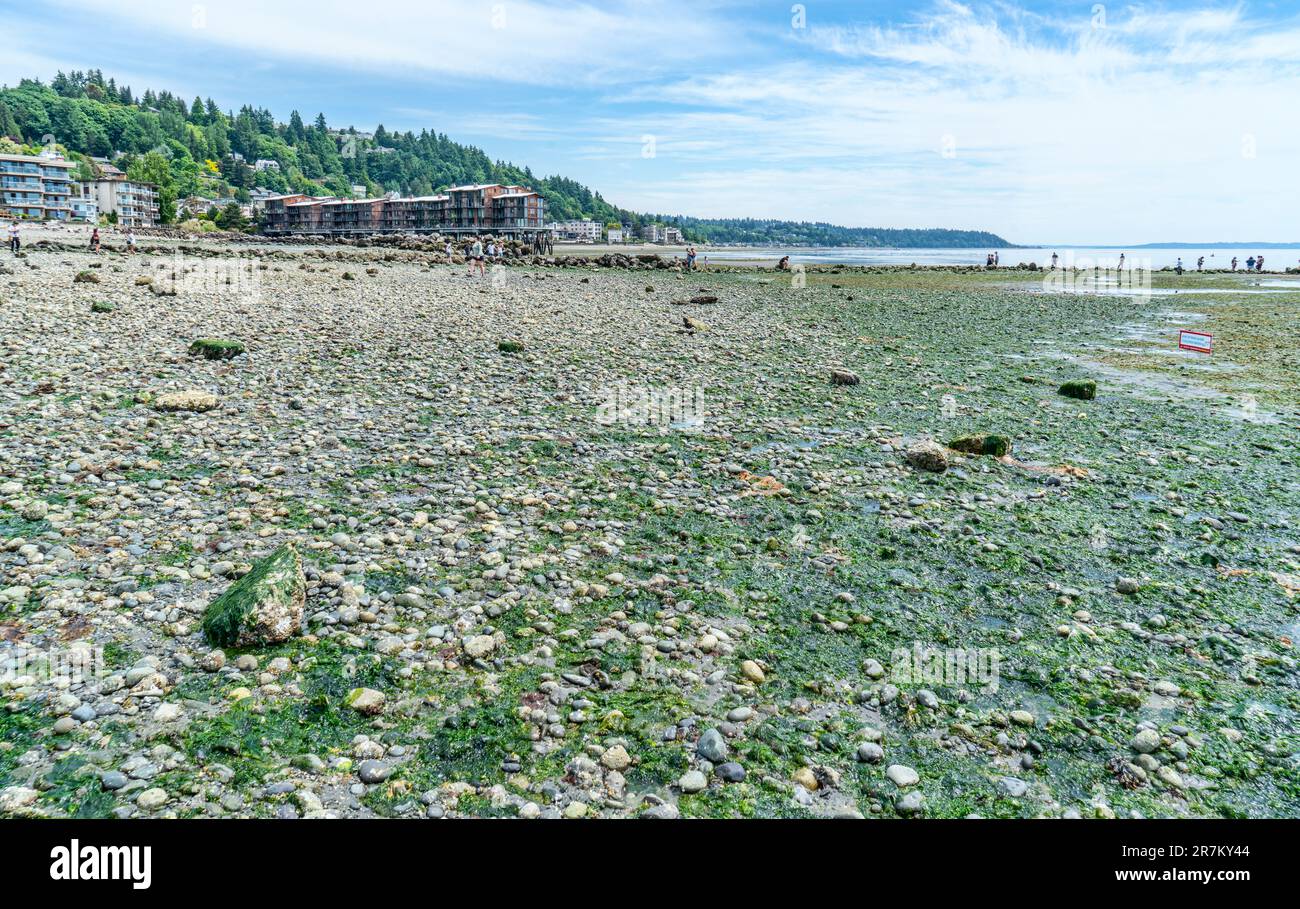 A view of the West Seattle shoreline with an extream low tide Stock ...