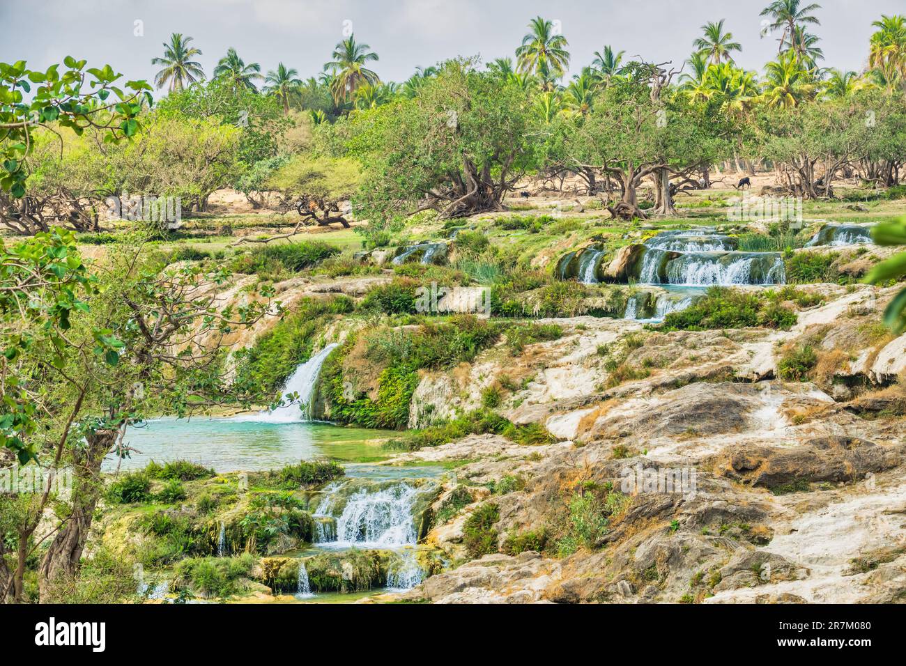 Wadi Darbat waterfalls near Salalah, Dhofar governorate, Oman Stock ...