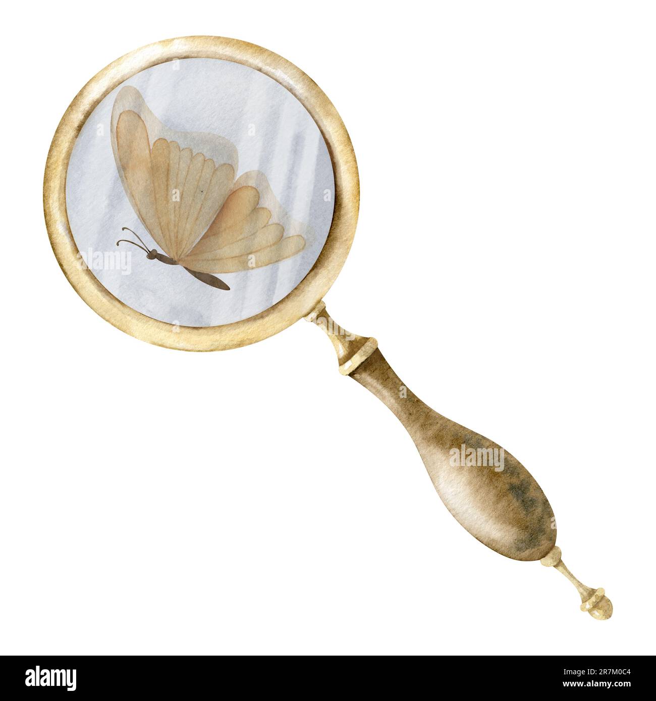 Retro Magnifying Glass with butterfly. Hand drawn watercolor ...