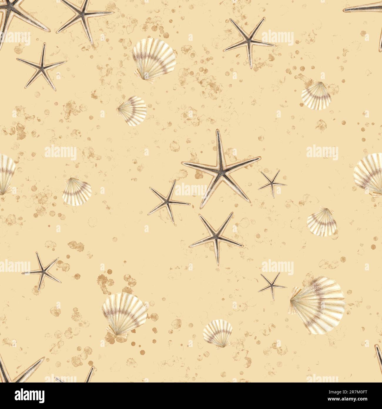 Seamless Seashell Pattern with Starfish and Scallop. Hand drawn ...