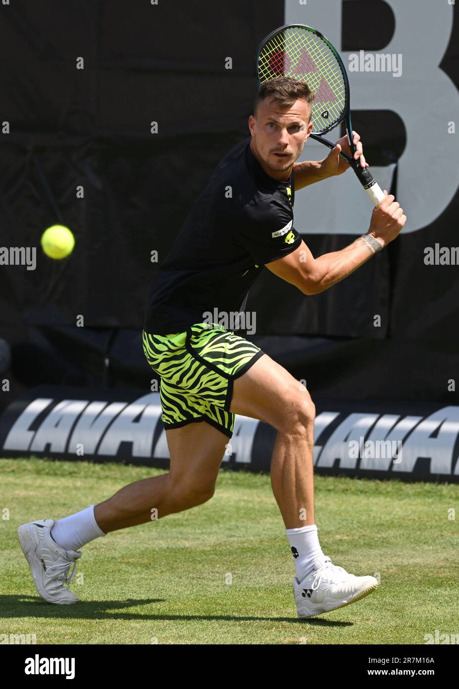 Fucsovics marton hi-res stock photography and images - Alamy