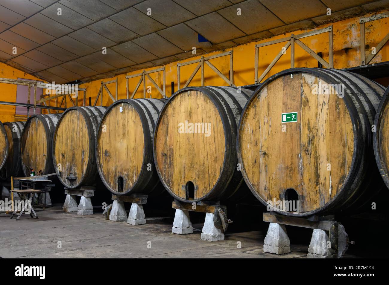 Making of traditional natural Asturian cider made from fermented apples ...