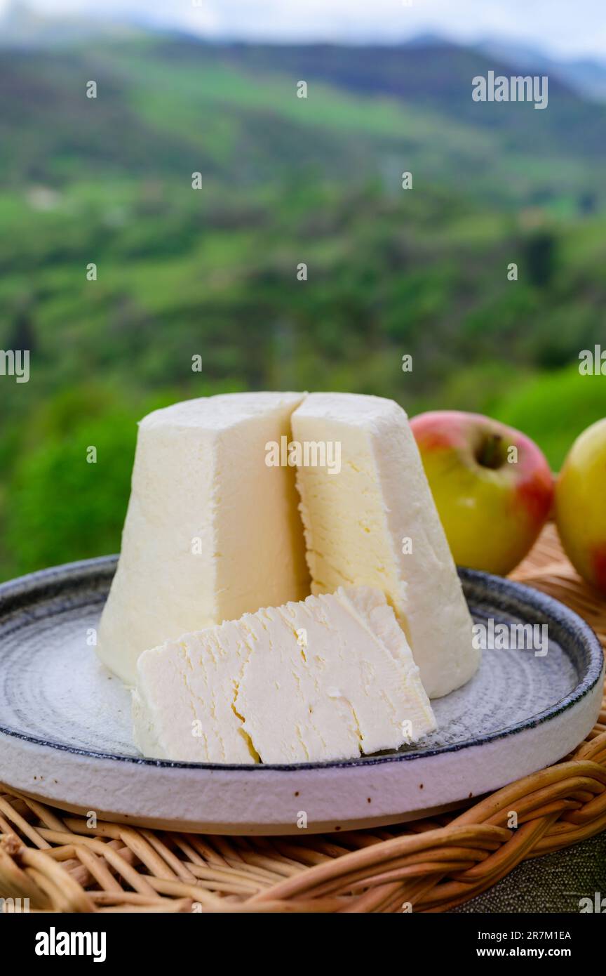 Unpasteurised dairy farm hi-res stock photography and images - Alamy