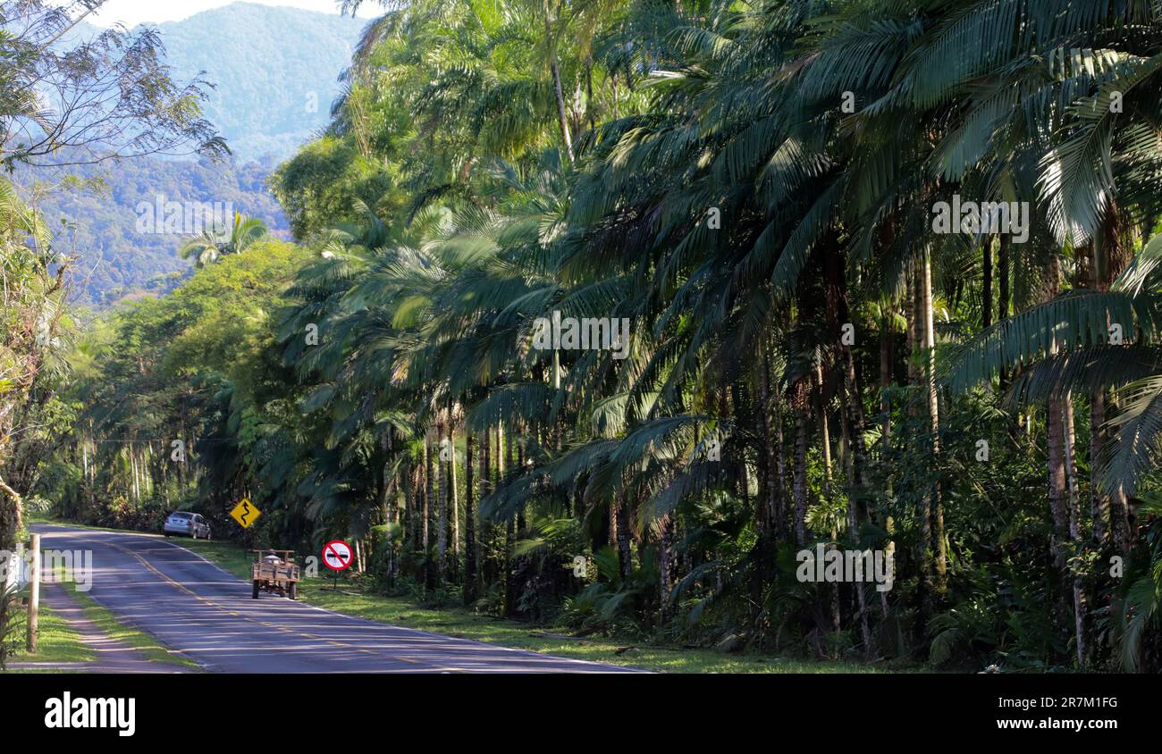 Estrada da Graciosa, historic road that connects Curitiba to the coast ...