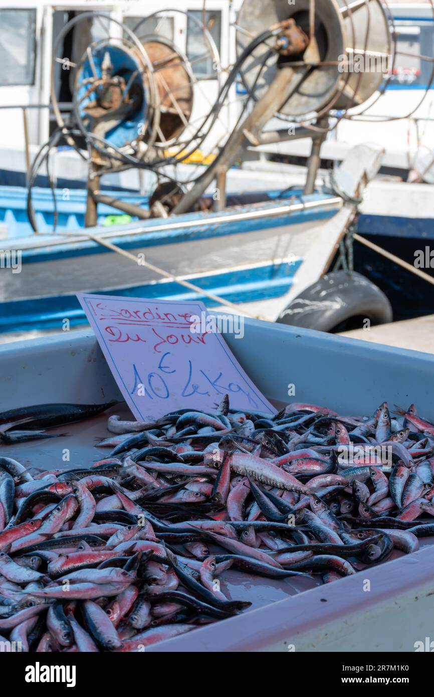 Catch of the day for sale on daily fish market in old port of Marseille ...