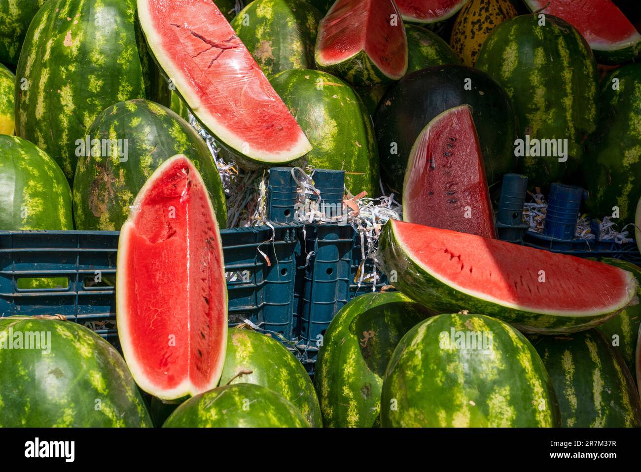 Watermelons in group hi-res stock photography and images - Alamy