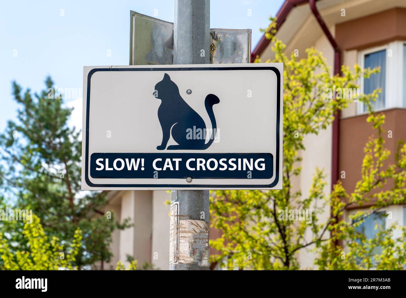 Slow, cat crossing sign in the street Stock Photo - Alamy