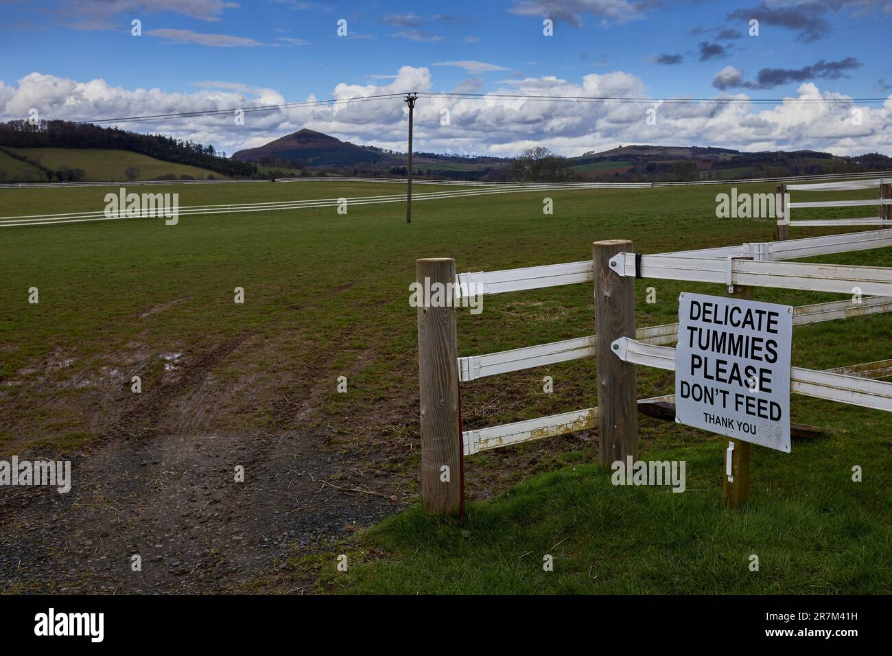 Rhymer's stone and the eildon hills hi-res stock photography and images ...