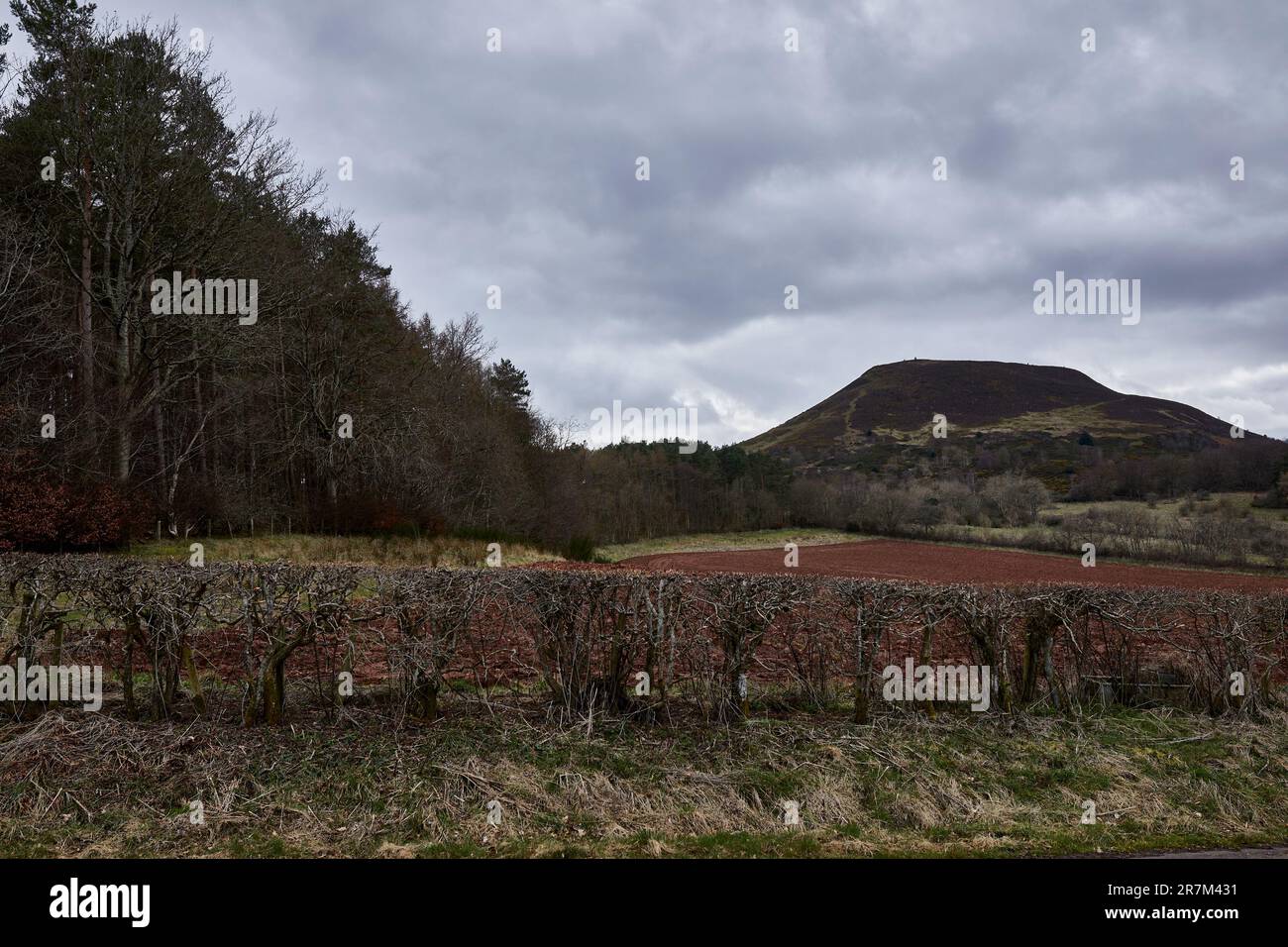 Rhymer's stone and the eildon hills hi-res stock photography and images ...