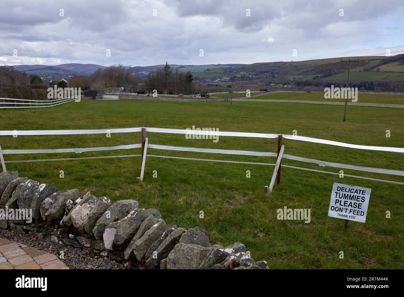 Dont feed the horse hi-res stock photography and images - Alamy