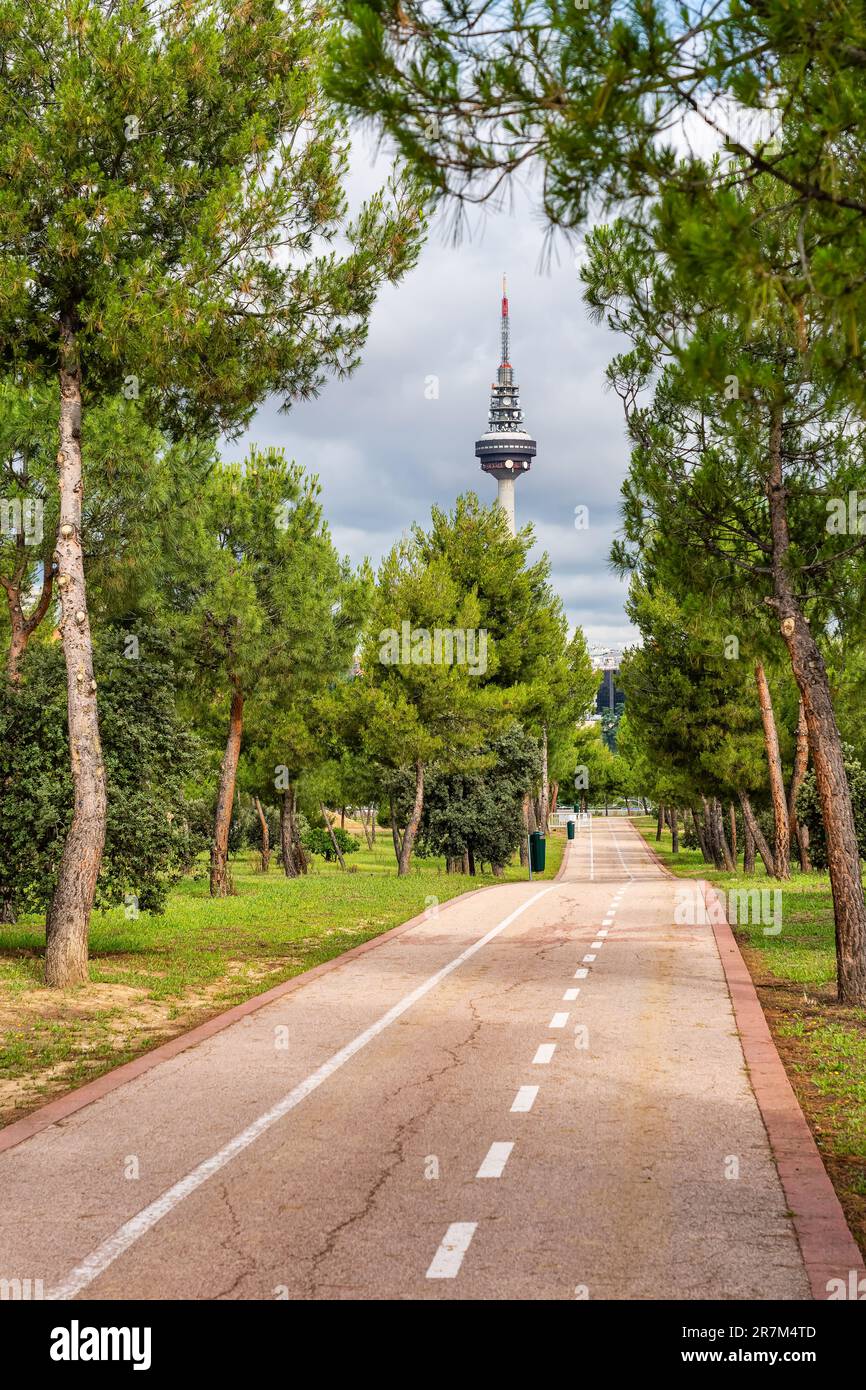 Bike path in the pine forest next to the communications tower of Madrid ...
