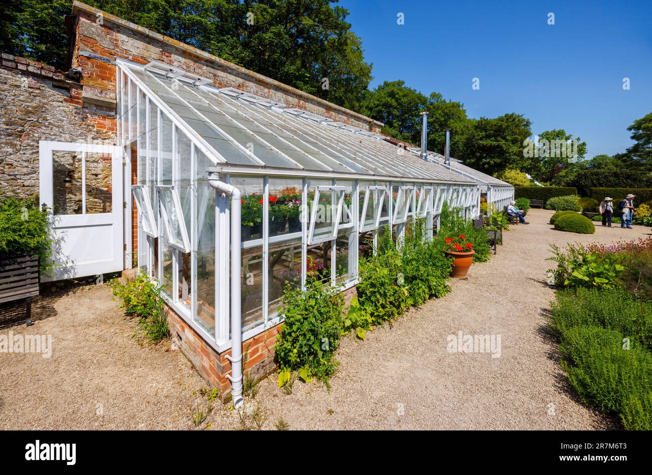 A traditional old-fashioned lean-to design glasshouse (greenhouse) at ...