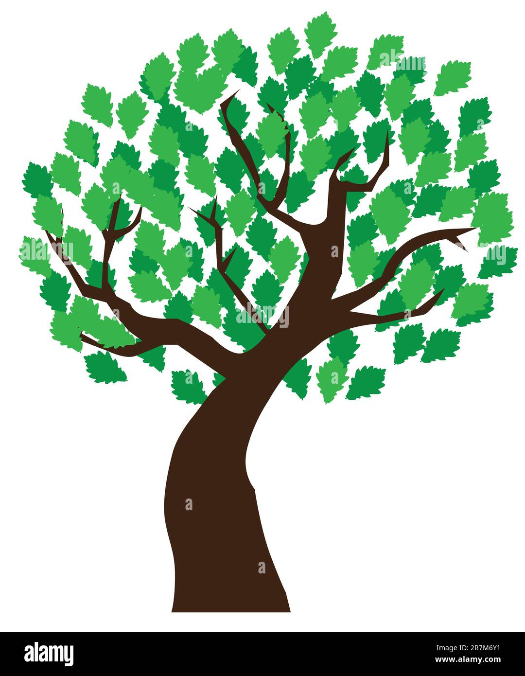Vector illustration of an oak tree Stock Vector Image & Art - Alamy