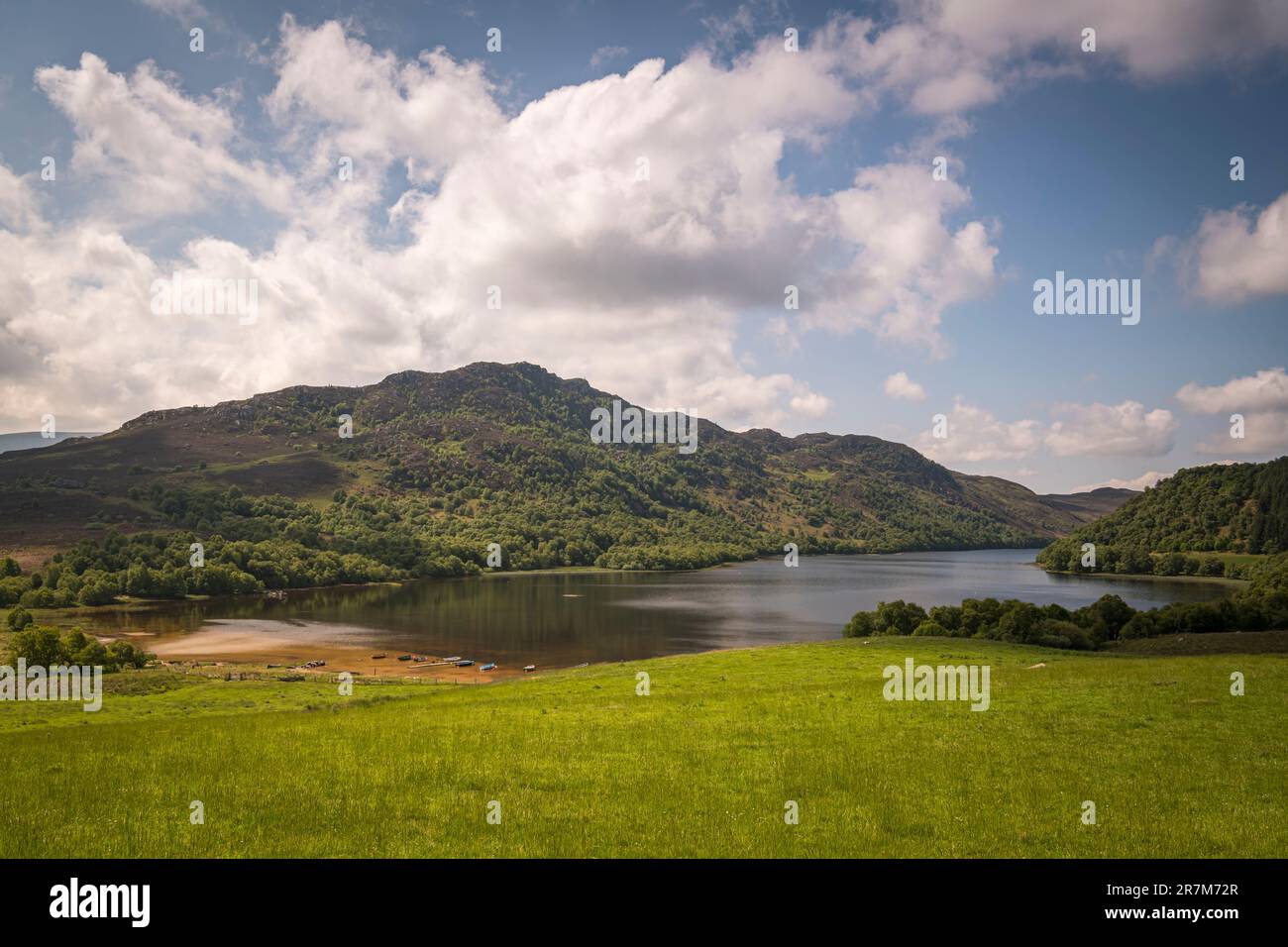 Mesotrophic hi-res stock photography and images - Alamy