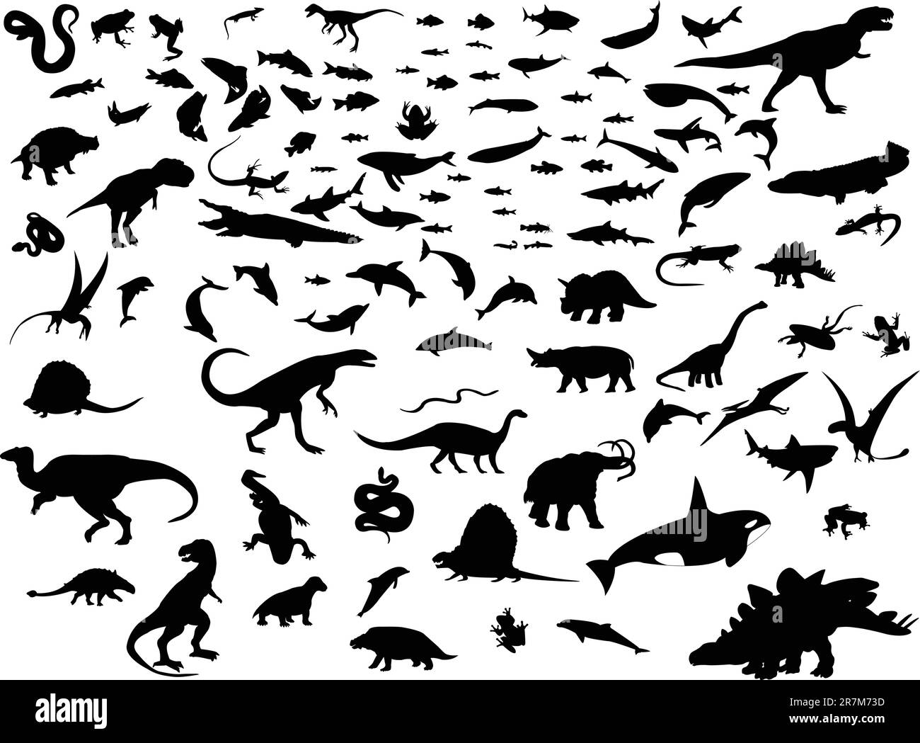 collection of mix animals - vector Stock Vector Image & Art - Alamy