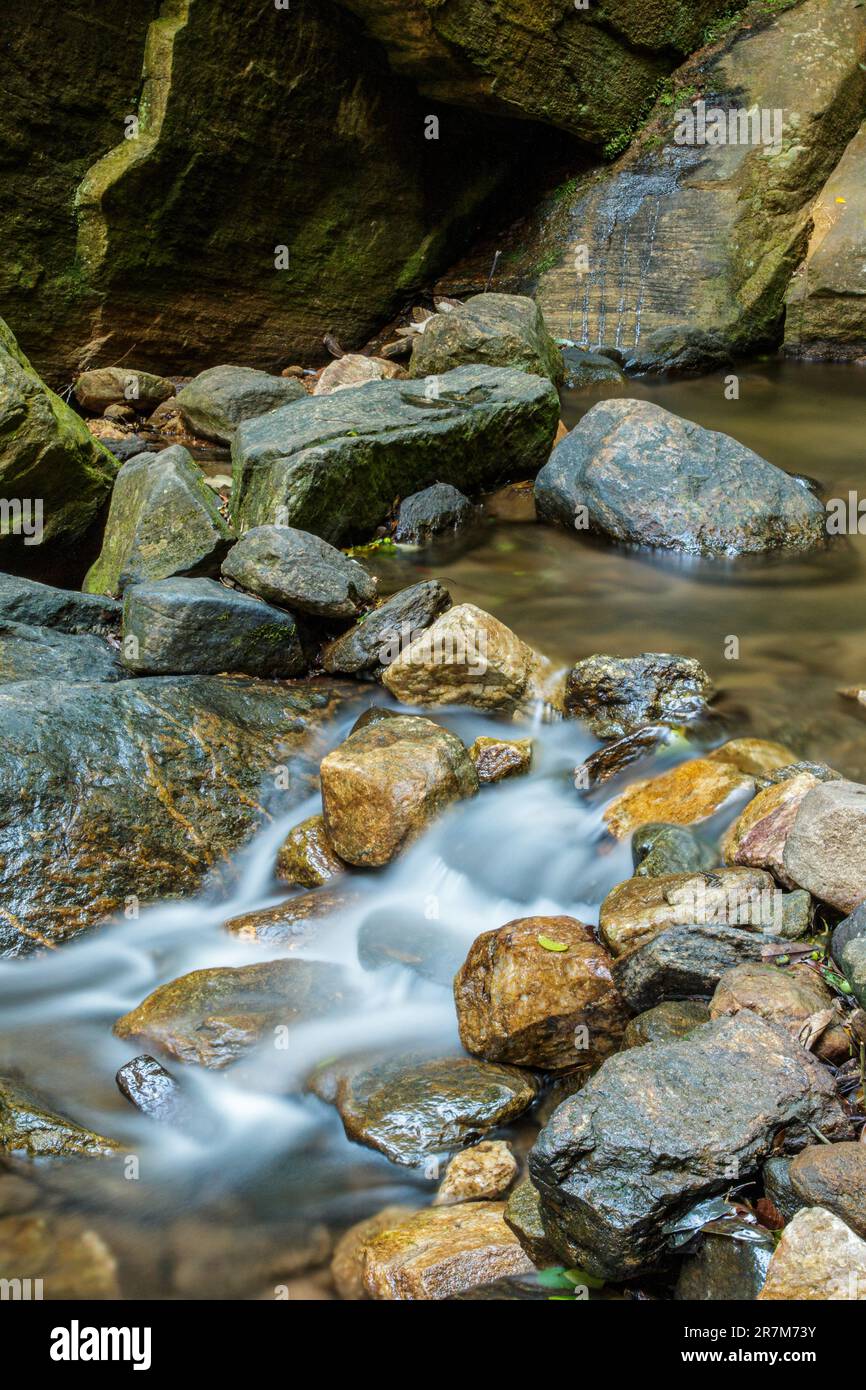 Shower Waterfall in Horto of Rio de Janeiro, Brazil Stock Photo - Alamy