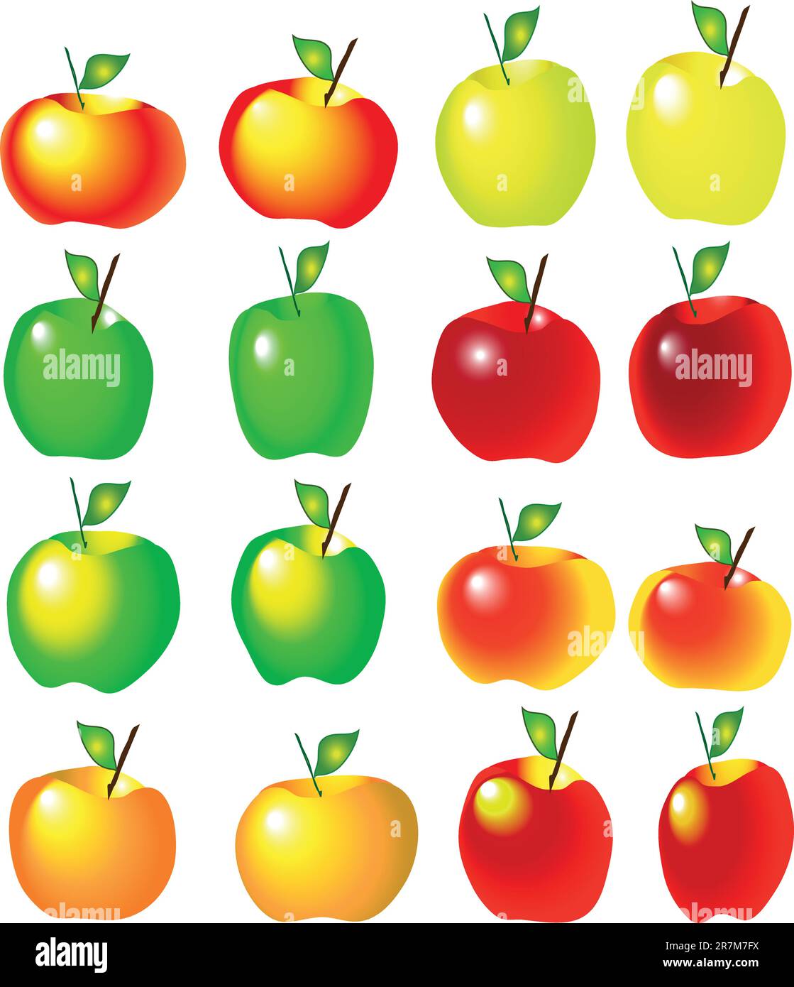 Group fresh apples on Stock Vector Images - Alamy