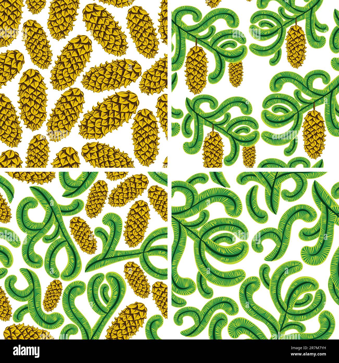 Spruce seamless patterns set. Spruce branches and cones vector ...