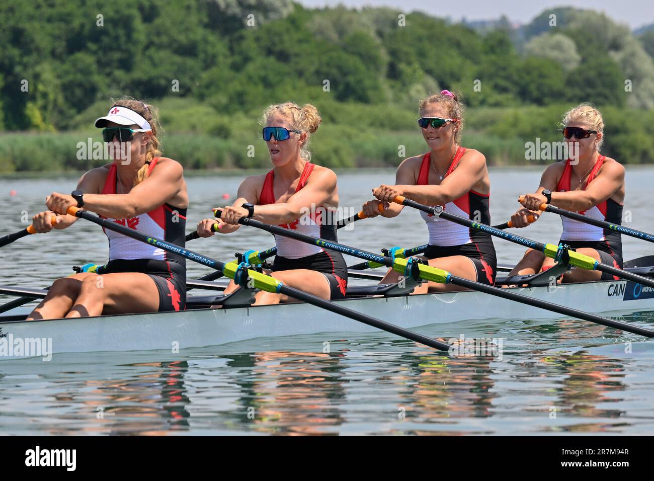 Carling can hi-res stock photography and images - Alamy