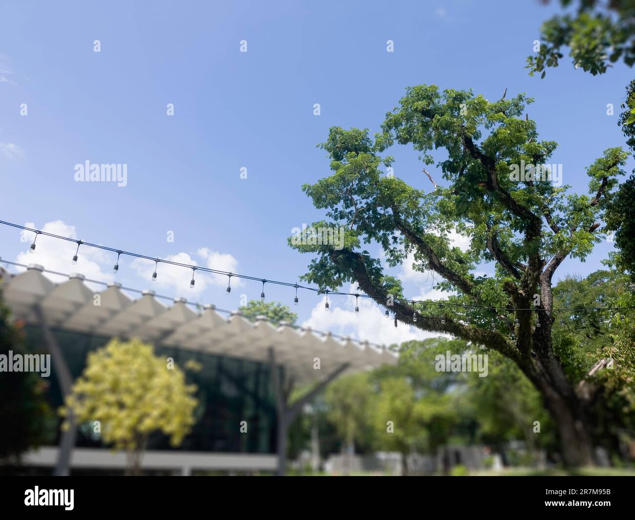 Green tree park area apartment building, stock photo Stock Photo - Alamy Green tree park area apartment building, stock photo Stock Photo - Alamy