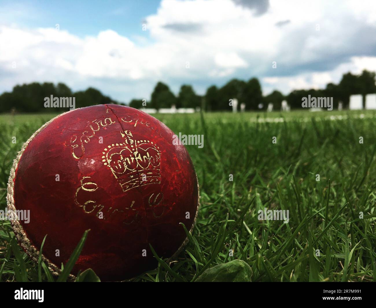 An outdoor scene featuring a bright red ball in a lush green grassy ...