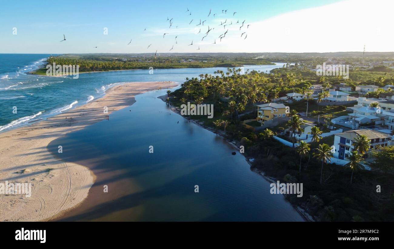 Aerial photo of the river and sea meeting with birds insight Stock ...