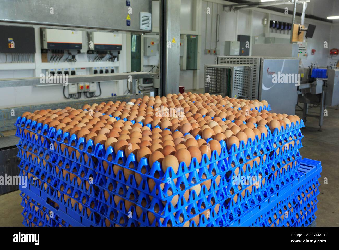 Egg packing uk hi-res stock photography and images - Alamy