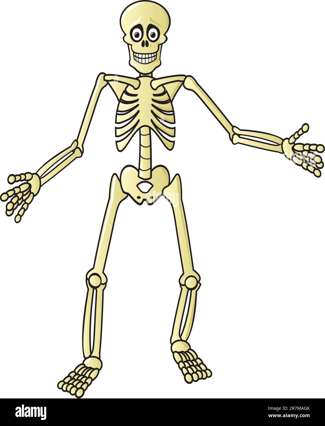 A creepy skeleton drawn in a fun cartoon style Stock Vector Image & Art ...
