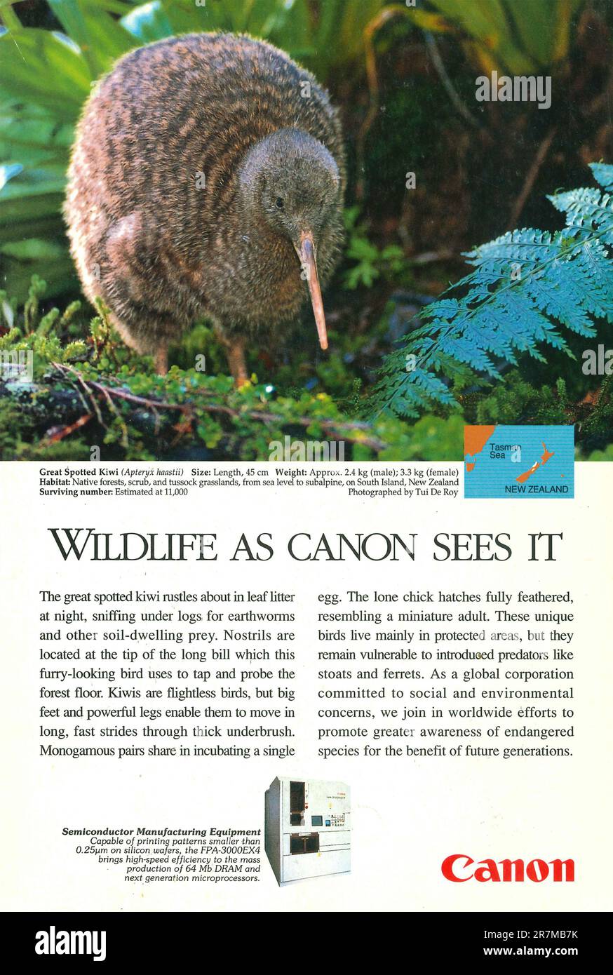 Canon semiconductor manufacturing equipment hi-res stock photography ...