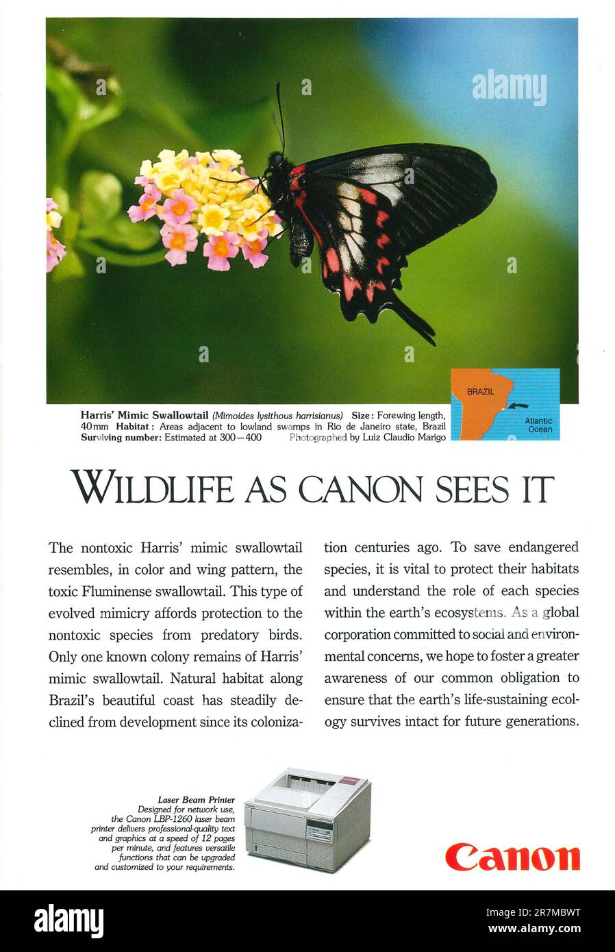 Canon Laser Beam Printer advert in a magazine 1995 Stock Photo - Alamy