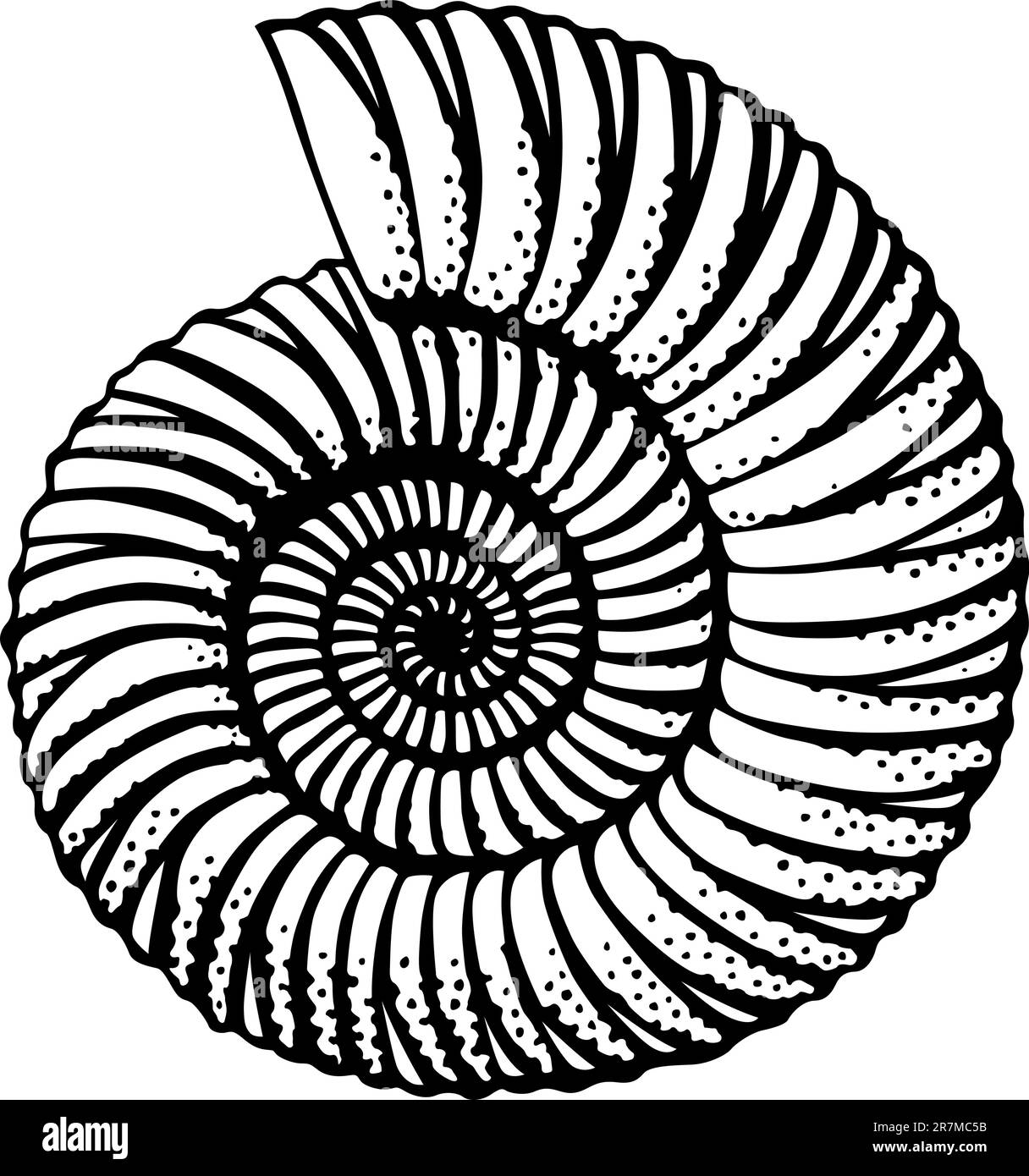 Biology of marine life Black and White Stock Photos & Images - Alamy