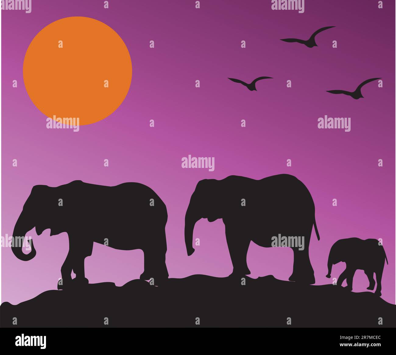 Vector illustration of elephant family Stock Vector Image & Art - Alamy