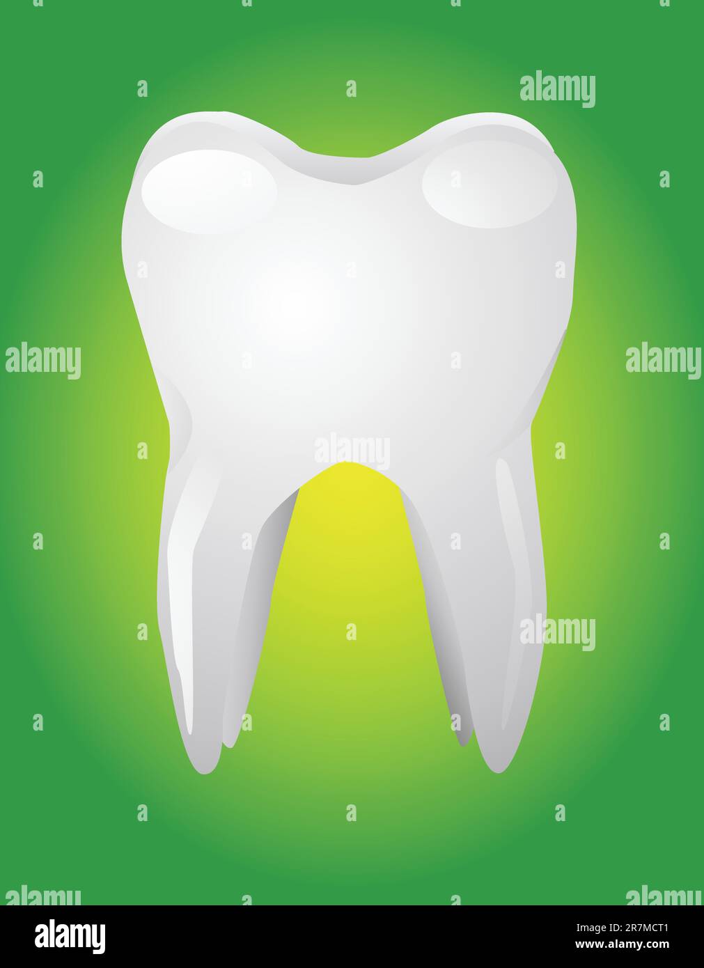 Vector illustration of white tooth Stock Vector Image & Art - Alamy