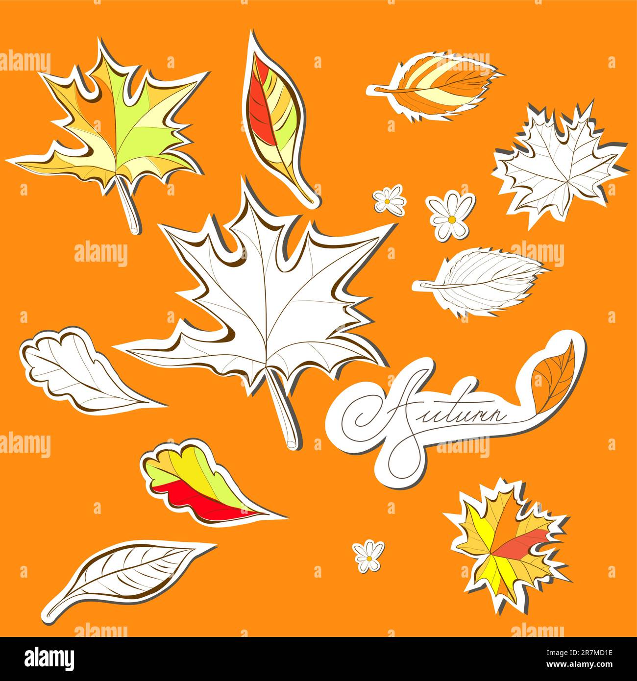 Stylized leaves set Stock Vector Images - Alamy