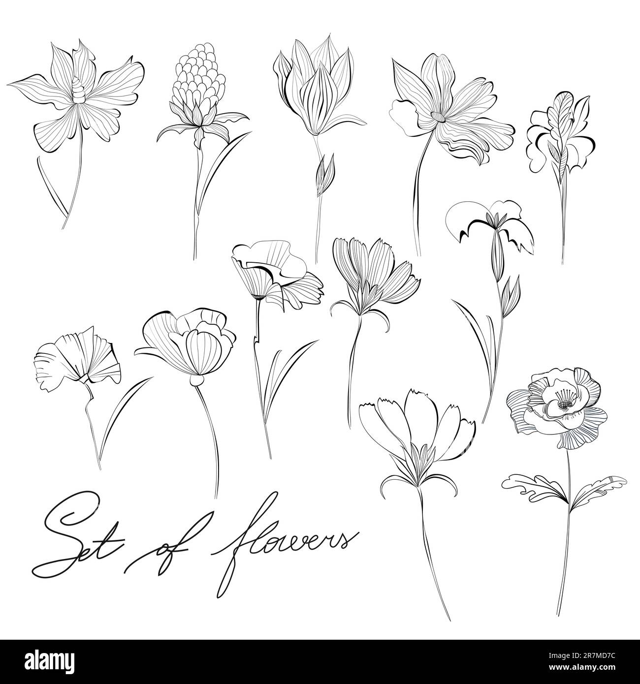 Sketch of flowers Stock Vector Image & Art - Alamy