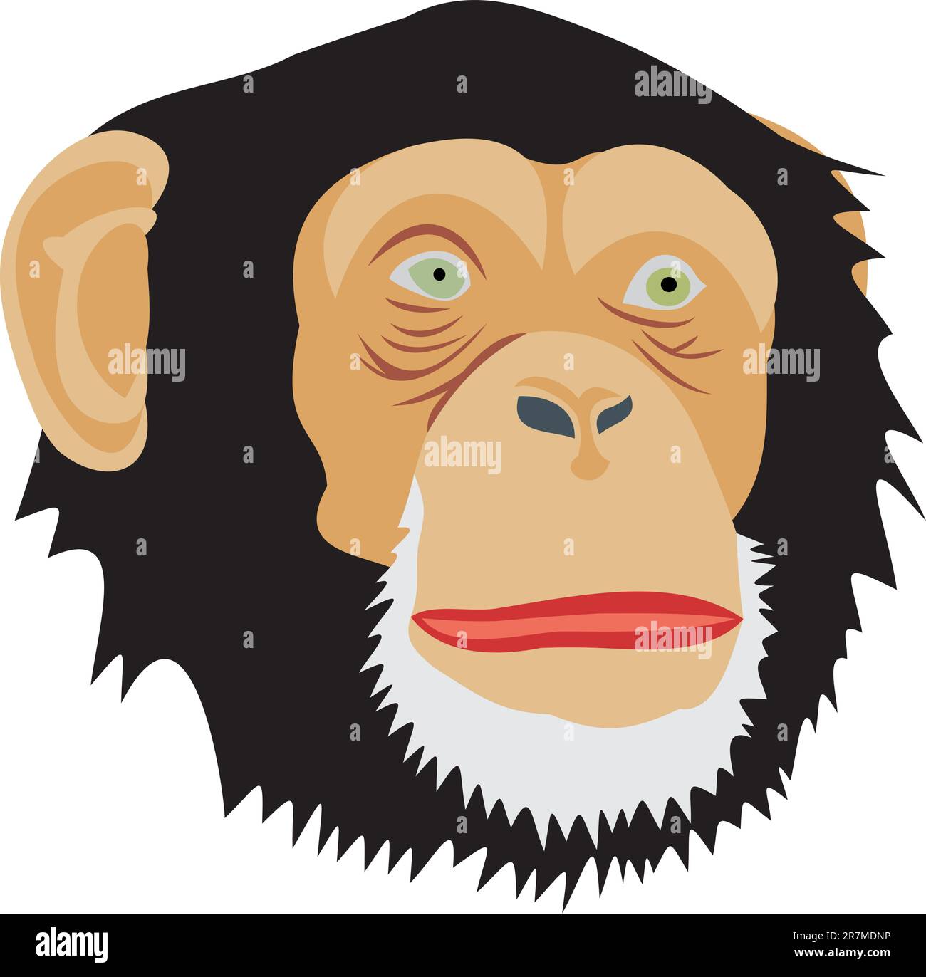 Big monkey hi-res stock photography and images - Alamy