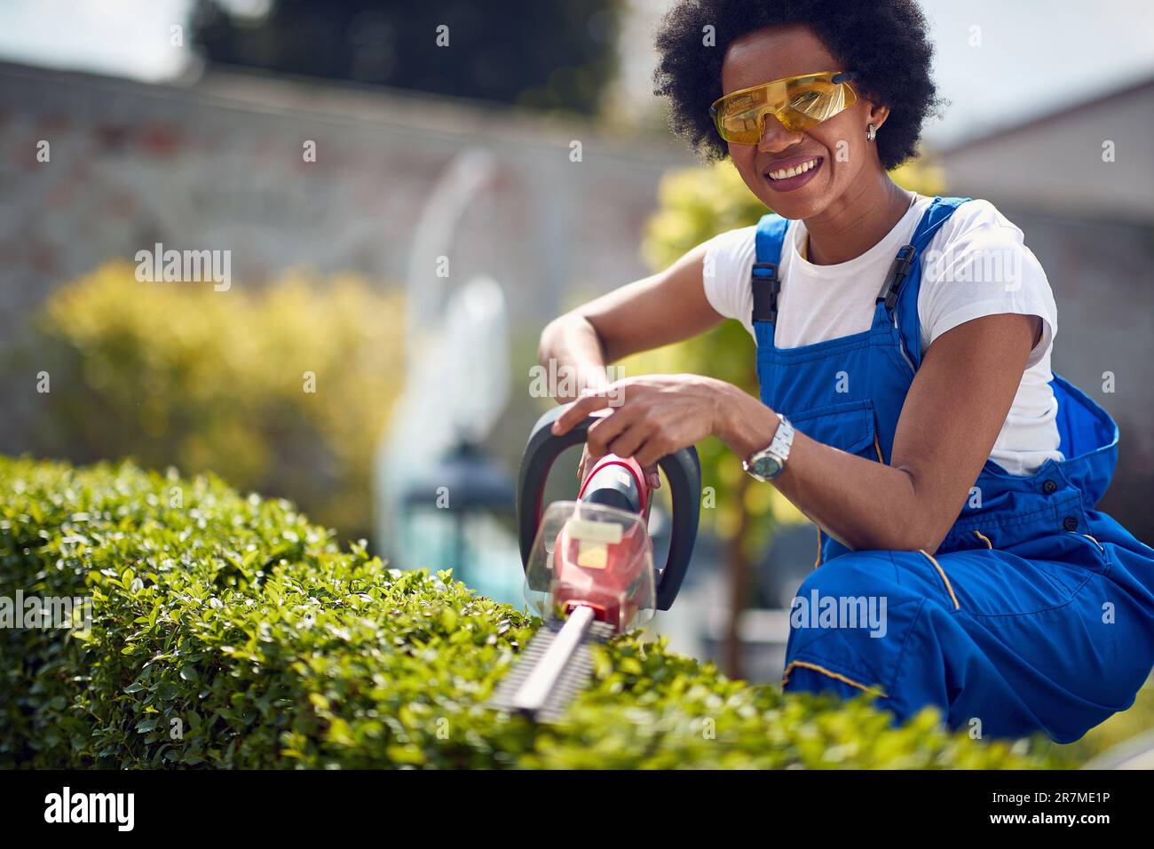 Professional demeanor hi-res stock photography and images - Alamy