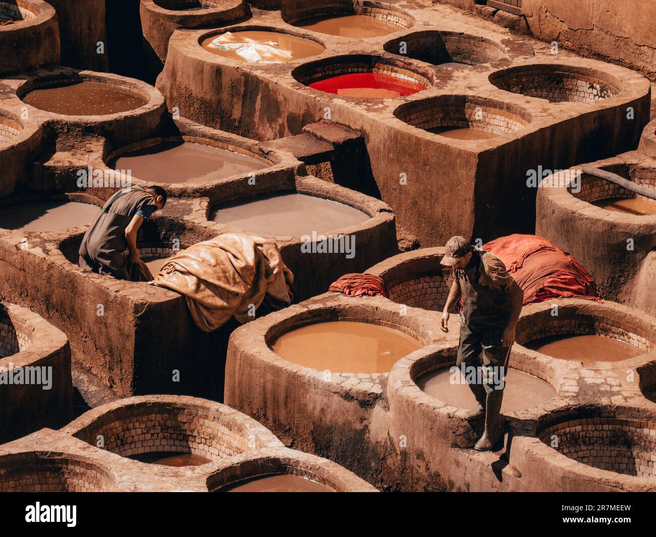 Fes' Chaouara Tannery: A vivid glimpse of the vibrant colors and ...